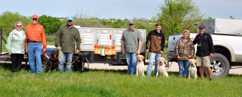 Labrador Retriever Puppies Houston - Labrador Puppies at CallBackRetrievers